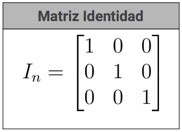 Matrices: Todo lo que necesitas saber | Compilando Conocimiento