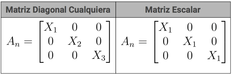 Matrices: Todo lo que necesitas saber | Compilando Conocimiento