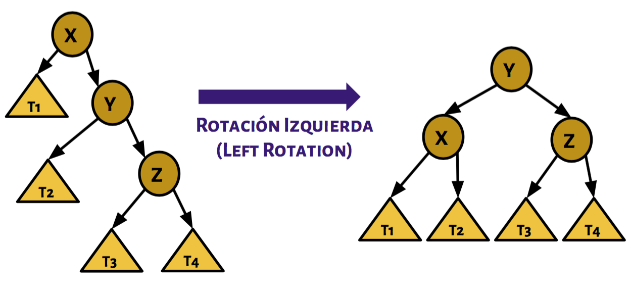 Arboles II: El Ataque de los BST | Compilando Conocimiento