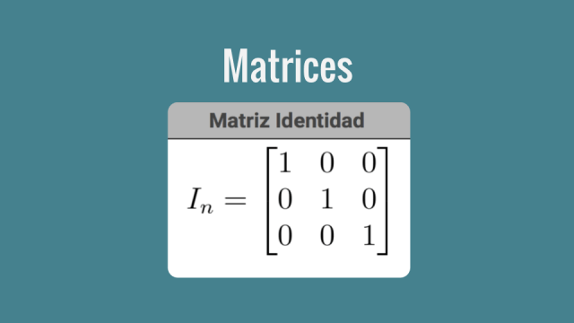 Significado De La Matriz Mxn
